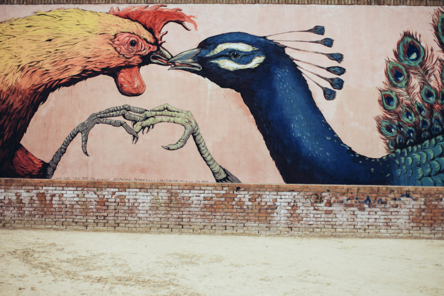 Street Art in Italien: Mit Eron durch Rimini - Smaracuja